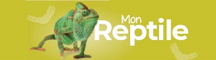 Franchise Terranimo : devenir franchisé en Animalerie